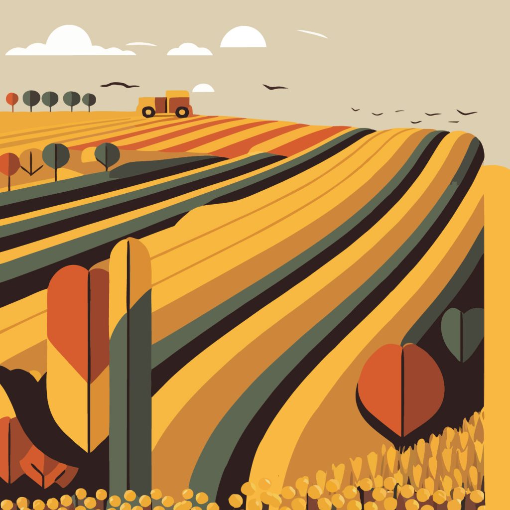 Home - IEEP Carbon Farming Inventory